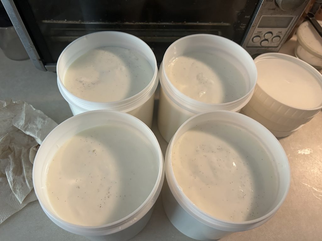How to Make Homemade Vanilla Yogurt from Scratch: A Step-by-Step Guide ...